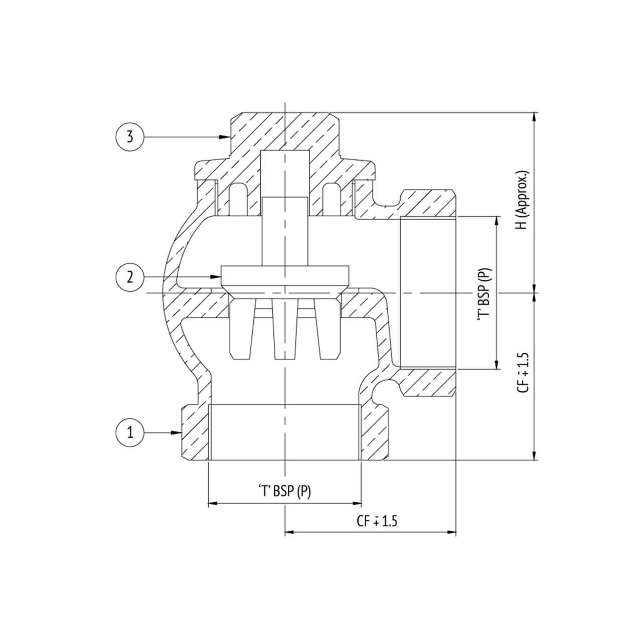Bronze Angle Check Valve, PN-16 | Newzel Industries